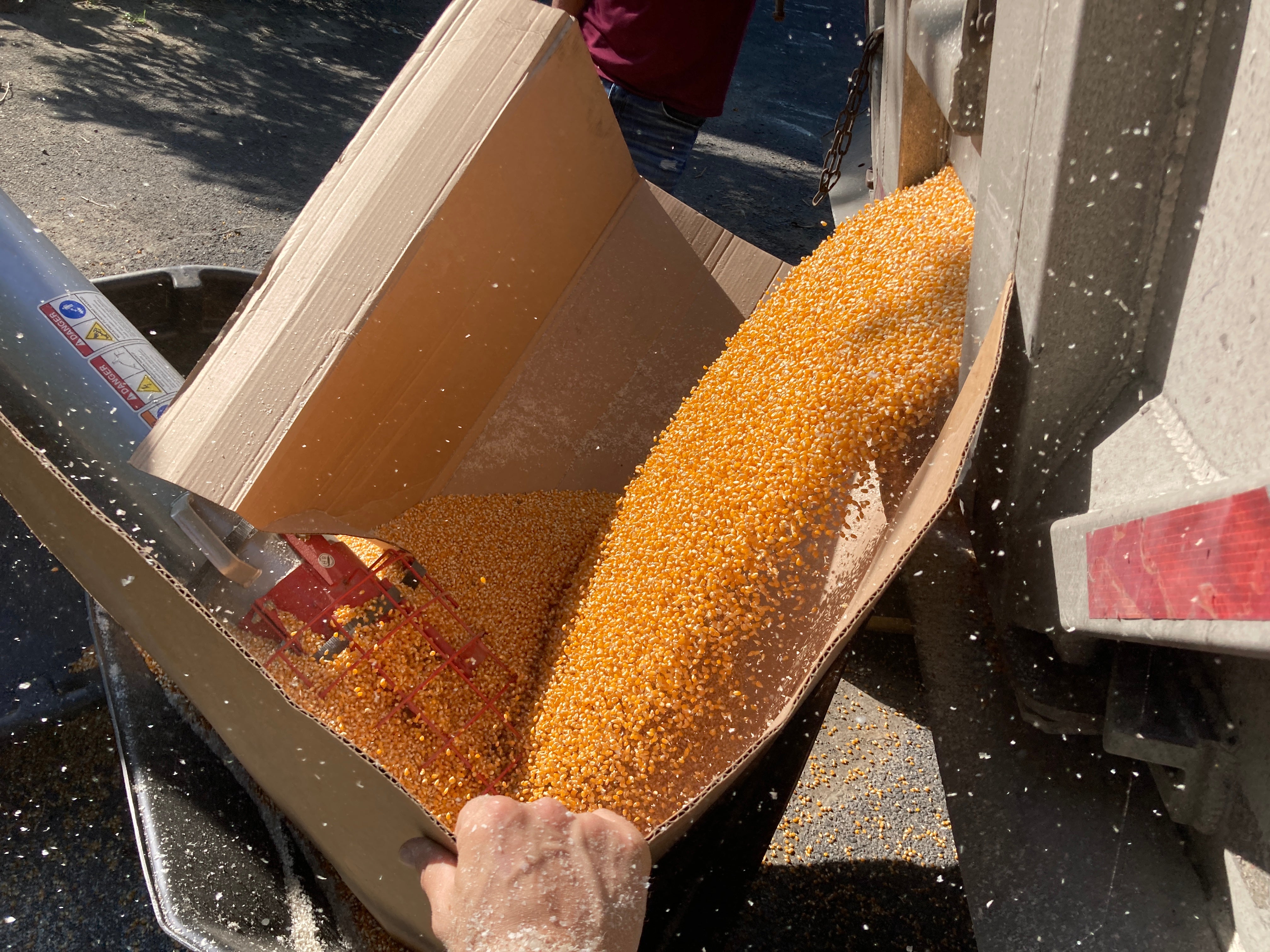 Bulk MN Popcorn!! – BjornQorn